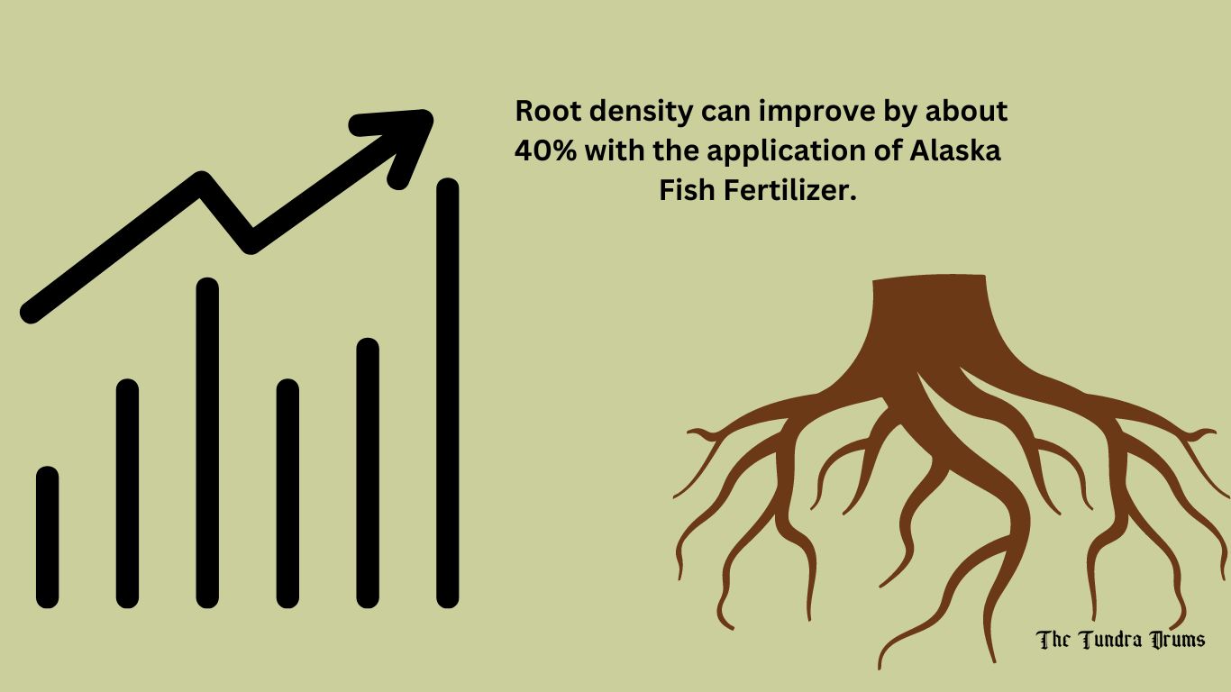 Reasons to Choose Alaska Fish Fertilizer for Your Plants